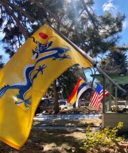 The Significance of Flags in Social and Political Movements
